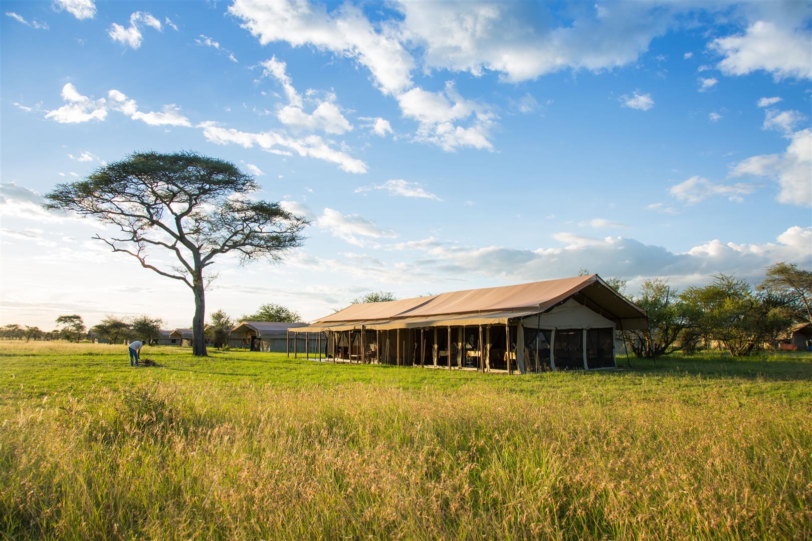 Serengeti Thorntree Camp - Abenteuer Tansania